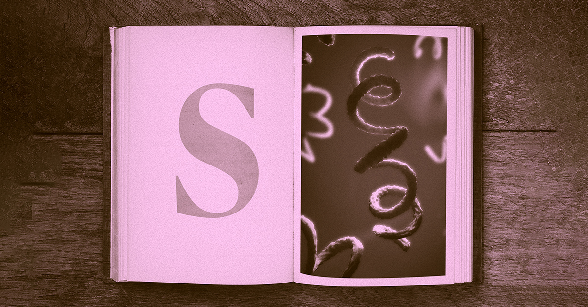 The History of Syphilis in the United States